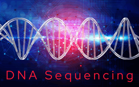 🧬 DNAsequencing.Ai – AI‑Accelerated Genomic Analysis & Precision Medicine